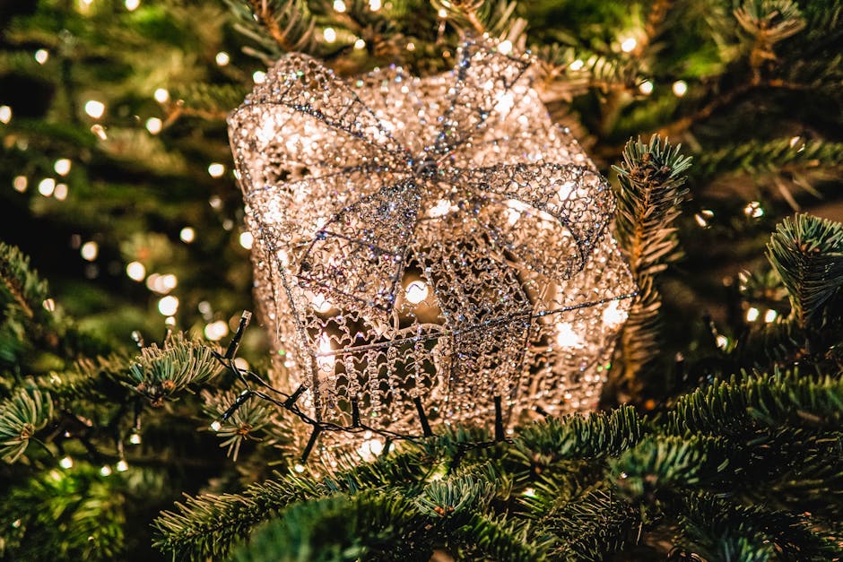 香檳氣泡酒和粉紅氣泡酒有什麼特色，香港 RNG Wine怎麼樣 - TMFT